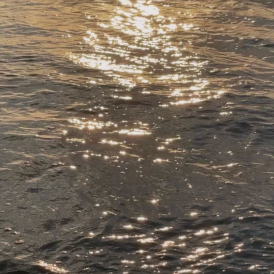 אלין כהן קוסמטיקס | ALINE COHEN COSMETICS